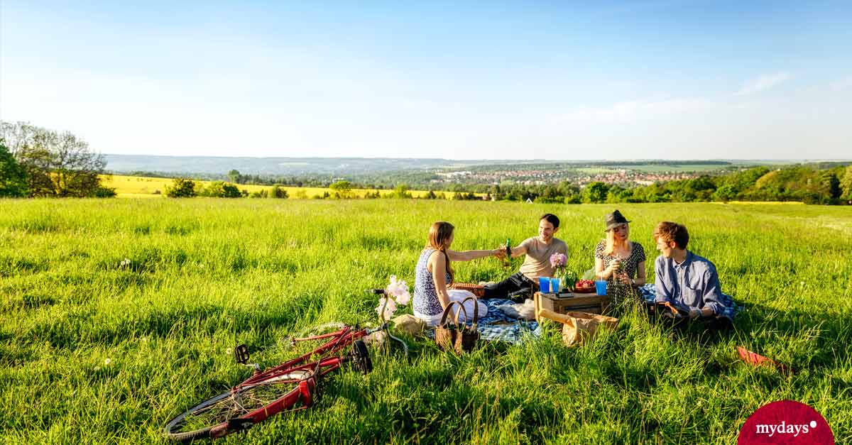 Picknick Ideen: Checkliste für das perfekte Picknick - mydays Magazin